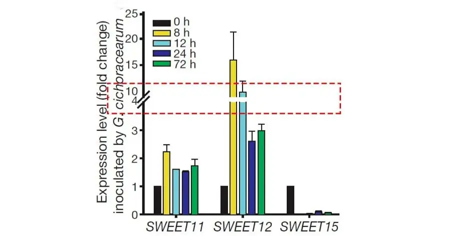 绘制坐标轴加“break”的柱状图_origin柱状图y轴break-CSDN博客
