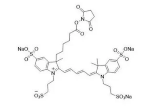 AF647-TSA，AF647 Tyramide，可用于细胞和组织学研究，AlexaFluor 647TSA-CSDN博客