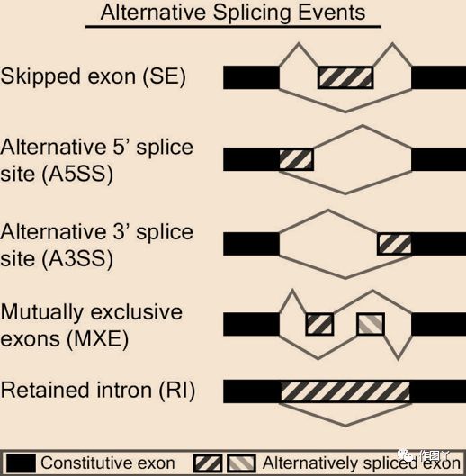 matplotlib实现数据可变_rMATS进行差异可变剪切分析并可视化-CSDN博客