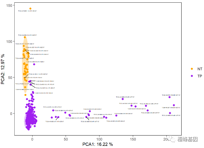 RNA 7. SCI 文章中的基因表达——主成分分析 (PCA)_rna-seq pca-CSDN博客