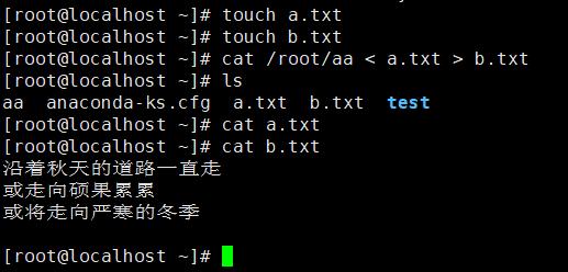 csh shell_Linux中shell基础、重定向、管道符、环境变量-CSDN博客