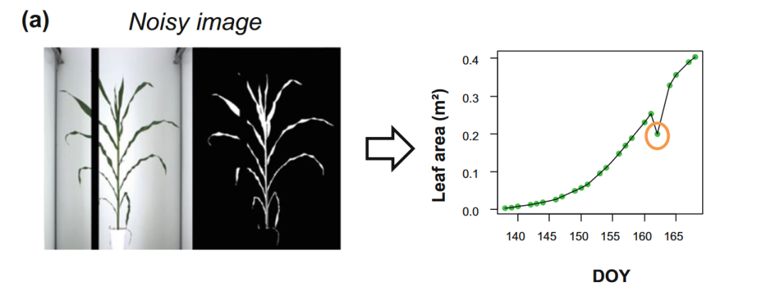 第二章：GWAS表型数据的准备和管理_gwas表型数据要求-CSDN博客