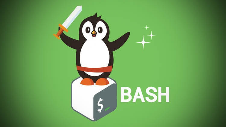 命令行解释器：ZSH 和 Bash，你更爱用哪个？_zsh bash-CSDN博客