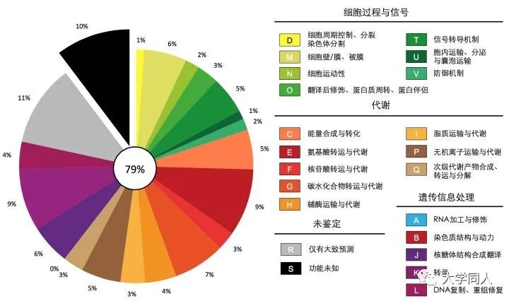 origin如何将多个曲线放在一张图_解密！SCI论文中那些高大上的插图是如何绘制的..._weixin_39530833的博客-CSDN博客
