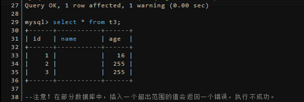 Mysql中支持的整型数据类型当中的整型数 Csdn博客 