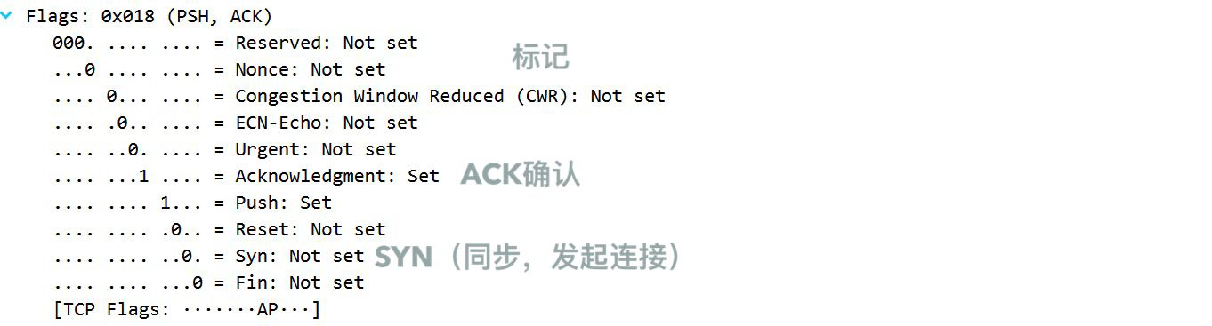 EduCoder 计算机网络实验 传输层协议分析_第1关:tcp 包基础-CSDN博客
