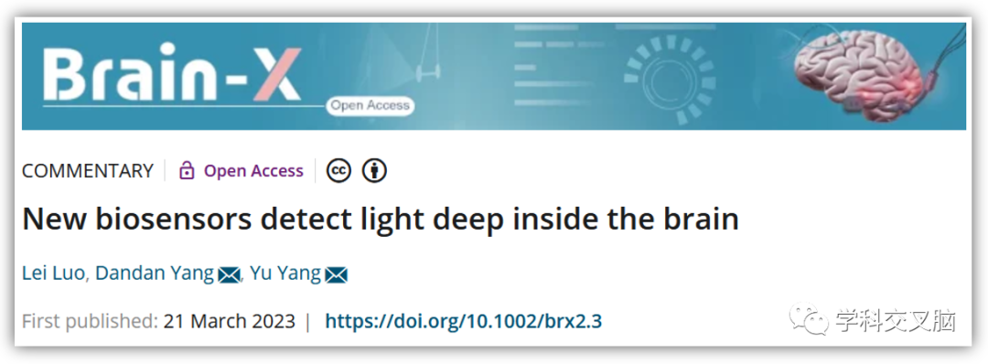 Brain-X (交叉脑科学)：Volume 1 Issue 1，陆续上线！-CSDN博客