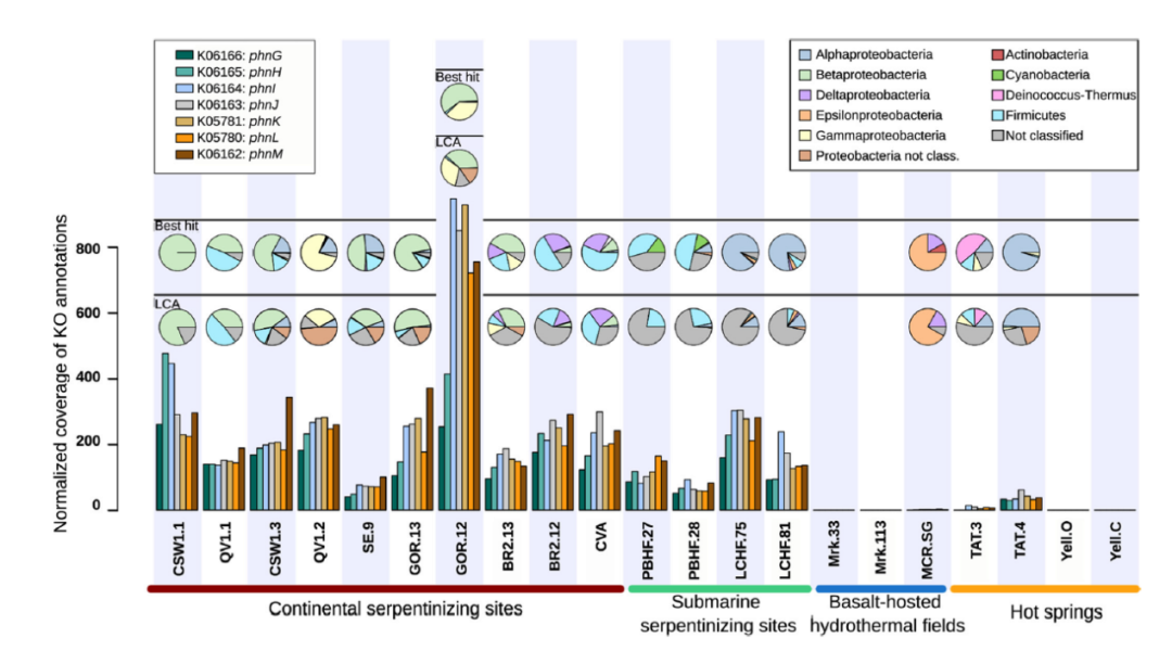 《mSystems》比较宏基因组学探究海洋和陆地生态系统中磷酸盐分解代谢途径-CSDN博客