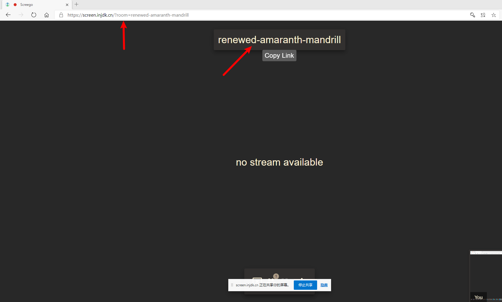 使用screego自建桌面投影/共享屏幕_csdn screego-CSDN博客