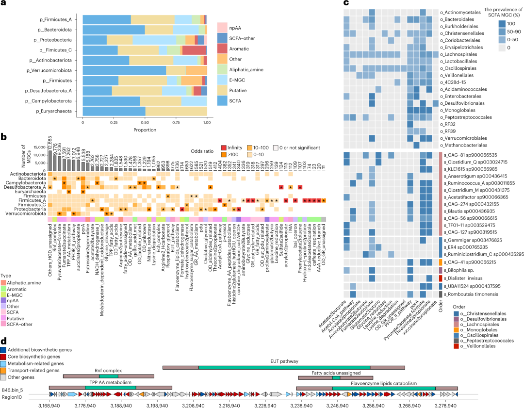 Nat Microbiol | 内农大张和平团队新突破—高分辨率下的人类肠道微生物组-CSDN博客