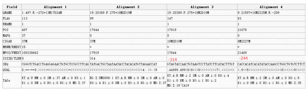 常用生物信息学格式介绍(fasta、fastq、gff2、gtf(gff2.5)、gff3、bed、sam、bam、vcf)_fq,fasta ...