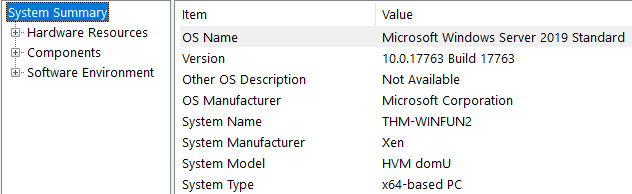 Tryhackme-Windows Exploitation Basics_what must a user insert on computers thatdo nothav-CSDN博客