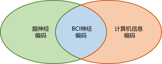 长文干货 | BCI范式与神经编码-CSDN博客