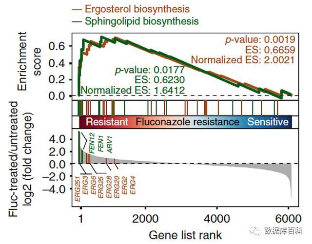 gsea富集分析结果怎么看_基因富集分析算法介绍_weixin_40001048的博客-CSDN博客