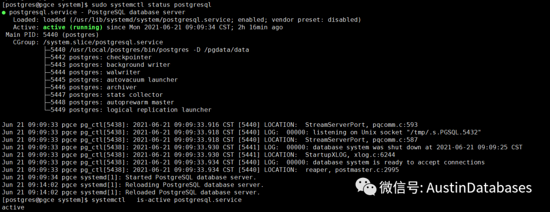 Postgresql Systemctl 启动设置与问题 Csdn博客 2669