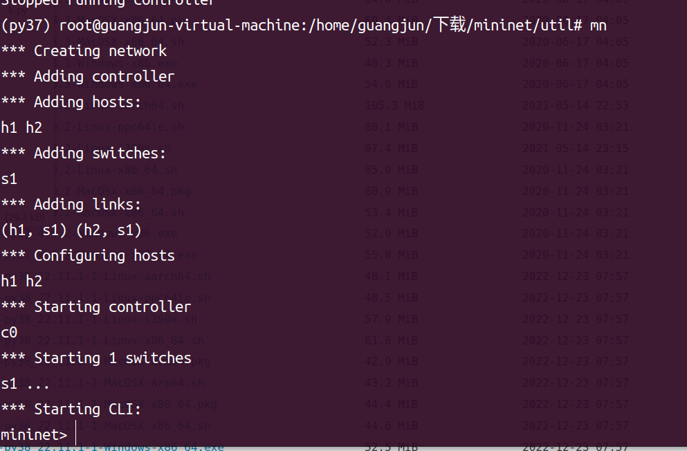 SDN学习笔记之安装RYU和Mininet_ryu安装-CSDN博客