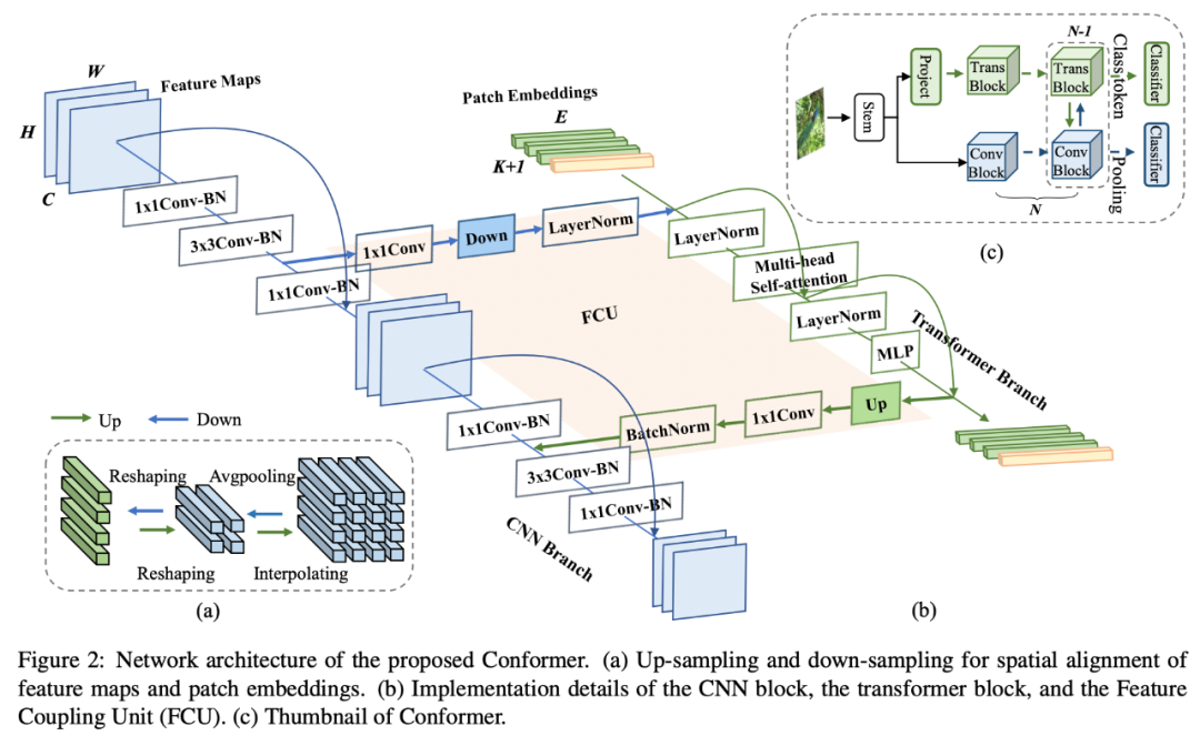 ICCV 2021 | 国科大提出首个CNN和Transformer双体主干网络！Conformer准确率高达84.1%！...-CSDN博客
