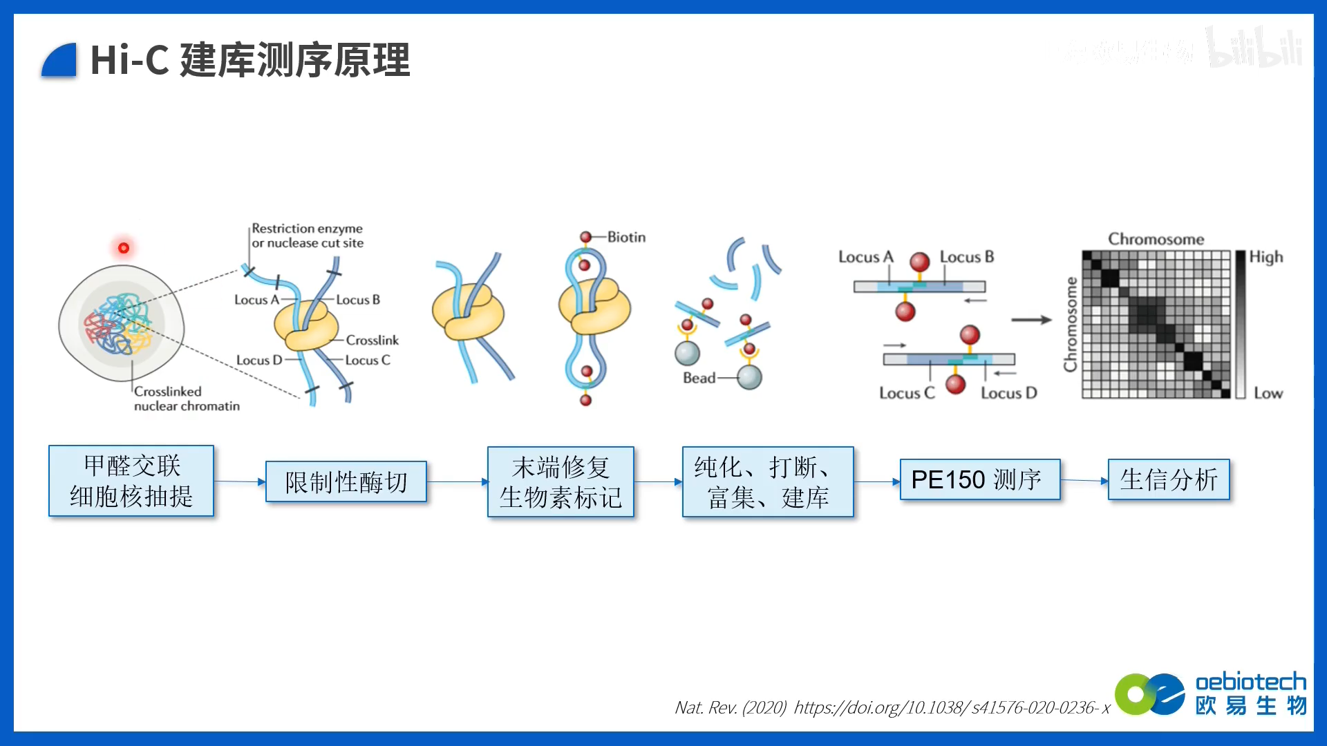 Pacbio三代基因组组装简介_pacbio三代测序组装基因组-CSDN博客