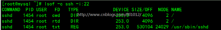 Linux lsof命令详解-CSDN博客