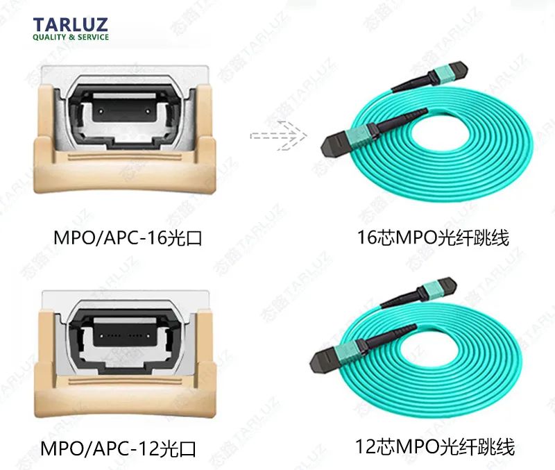 态路小课堂丨三款800G光模块方案介绍—SR8/DR8/2FR4_800g sr8 dr-CSDN博客