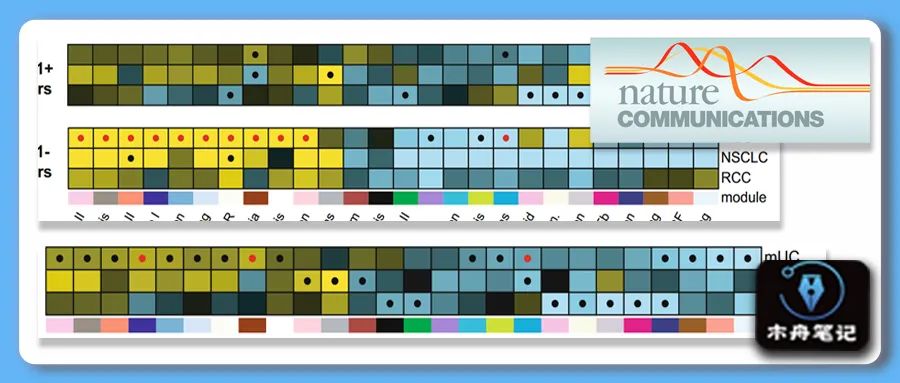 跟着 Nature Communication 学作图 | 热图+格子注释(通路富集相关)_compexheatmap 格子显示p值-CSDN博客