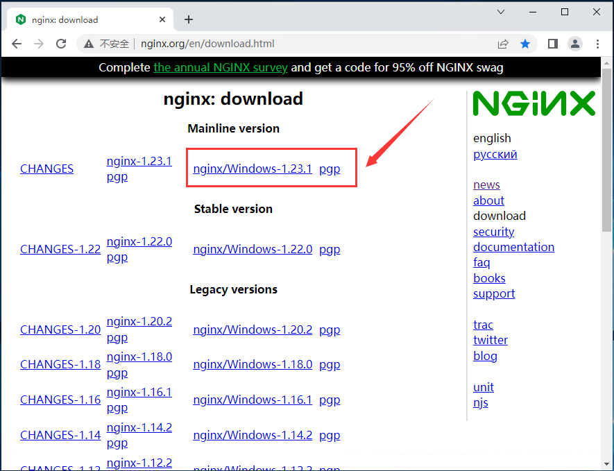 外网访问 Nginx 服务_访问nginx-CSDN博客