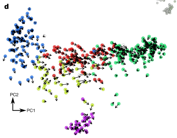 2020-011 RNA velocity of single cells_rna velocity的方向-CSDN博客