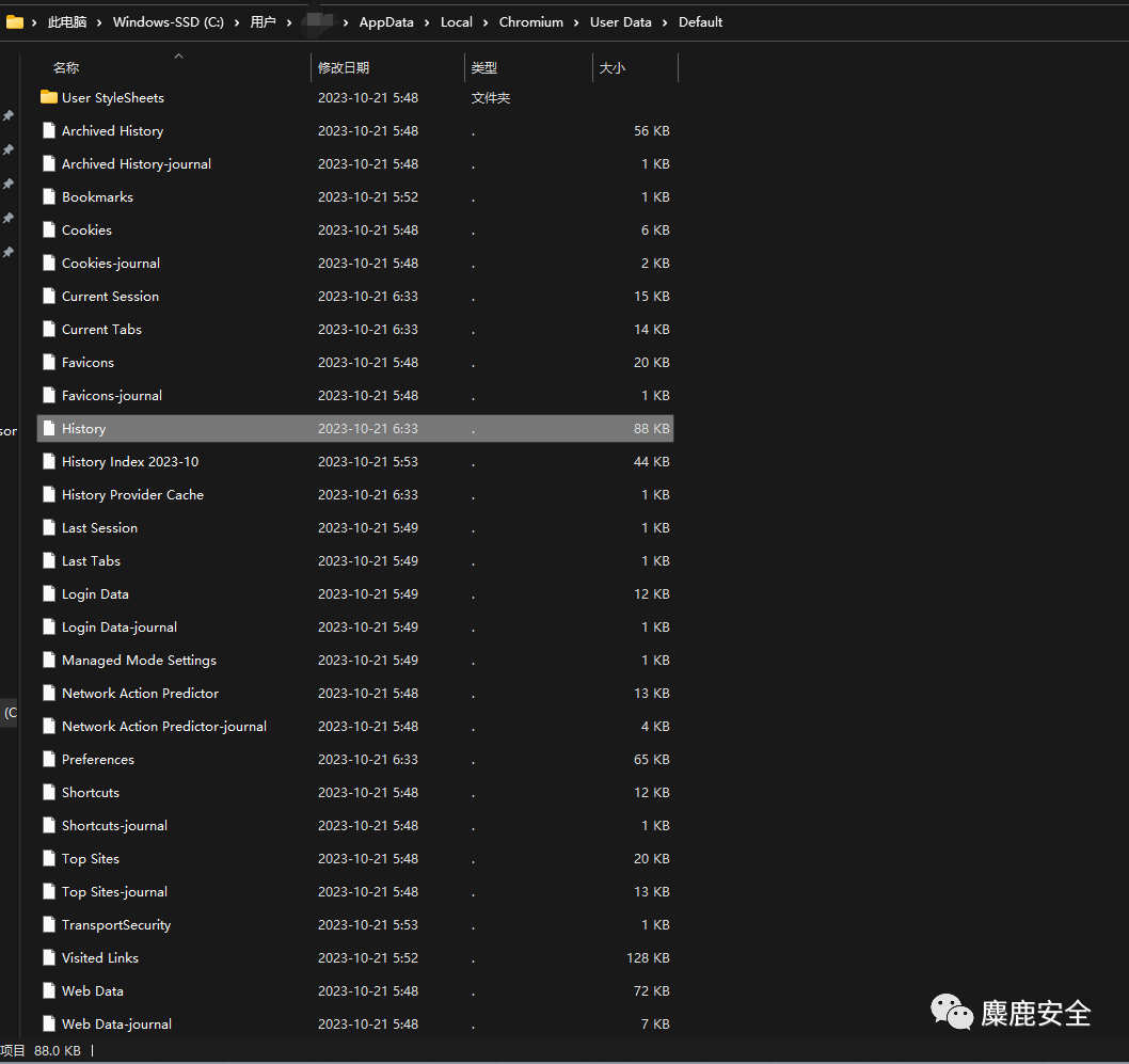 浅析HackBrowserData原理以及免杀思路(红队工具之获取目标机器浏览器记录 密码 cookie)_hack-browser-data ...