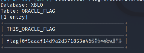 靶场练习：jsp+oracle注入_oracle 延时注入靶场-CSDN博客