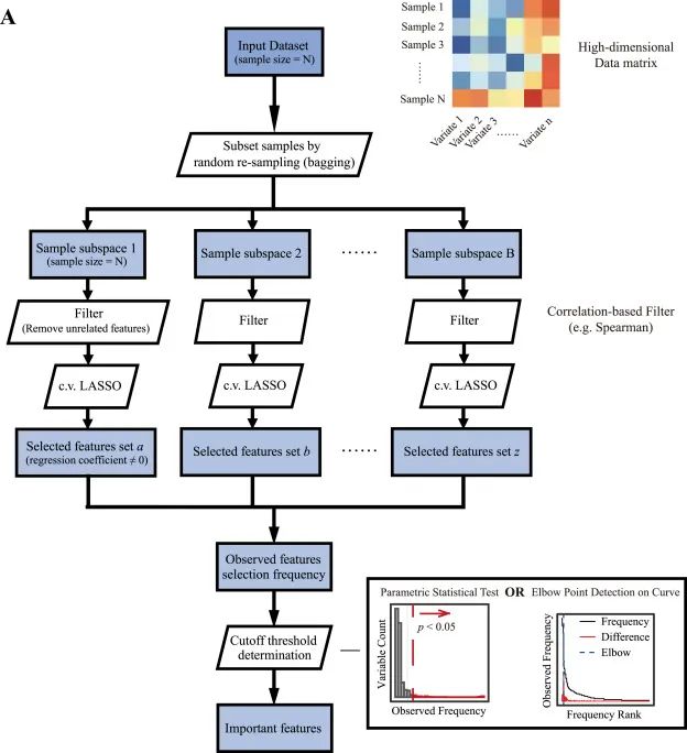 JGG | 中山大学赵齐与合作者推出组学数据生物标志物筛选新算法VSOLassoBag-CSDN博客