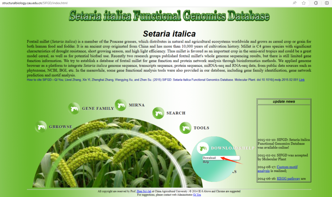 干货|10种重要作物基因组数据库_rapdb-CSDN博客