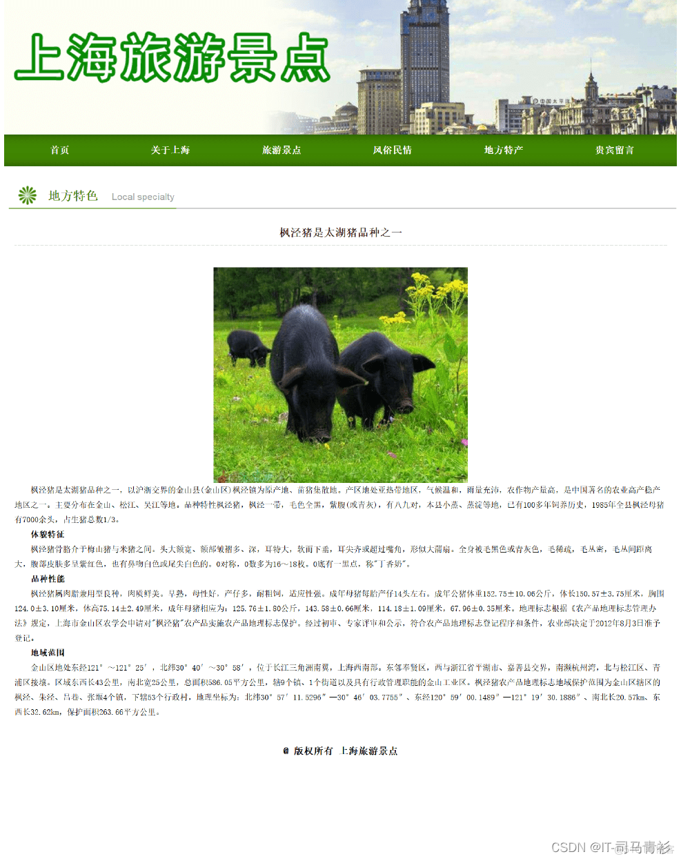 Htmlcssjs网页设计期末课程大作业——上海旅游景点（10页）web前端开发技术 Web课程设计 网页规划与设计 Csdn博客