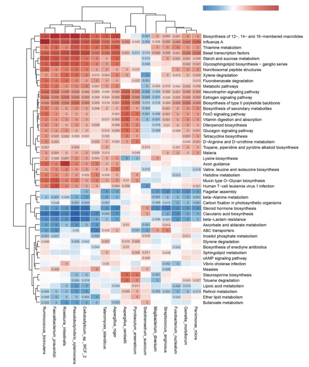 MicrobiomeStatPlot | 分层关联分析Halla analysis-CSDN博客