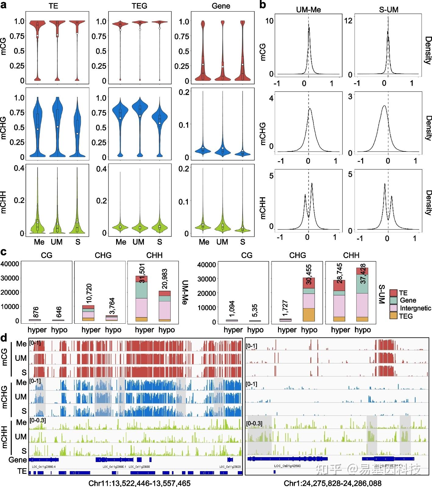 易基因：华中农大周道绣团队利用BS-seq揭示水稻雄性配子发生过程DNA甲基化重编程机｜Genome Biol-CSDN博客