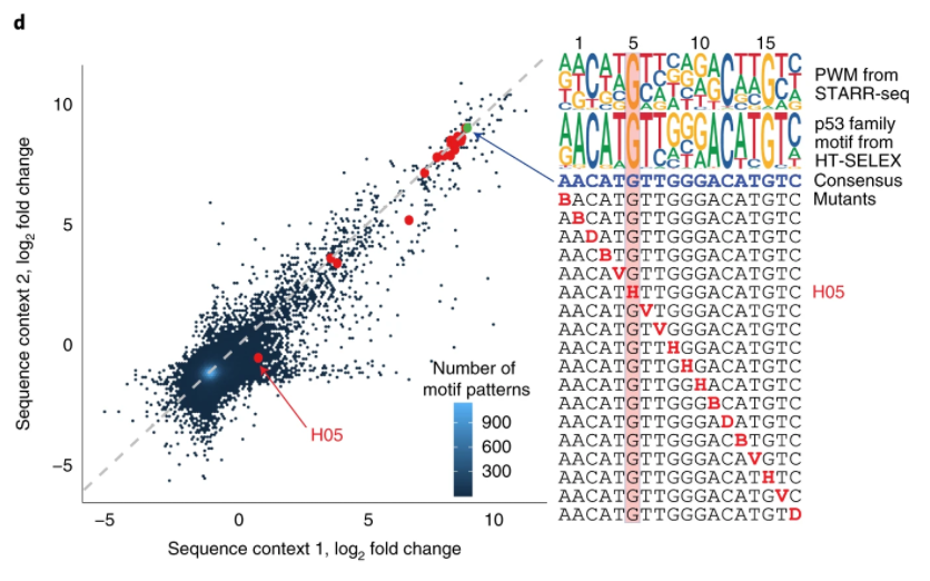本周最新文献速递20220227_starr-seq-CSDN博客