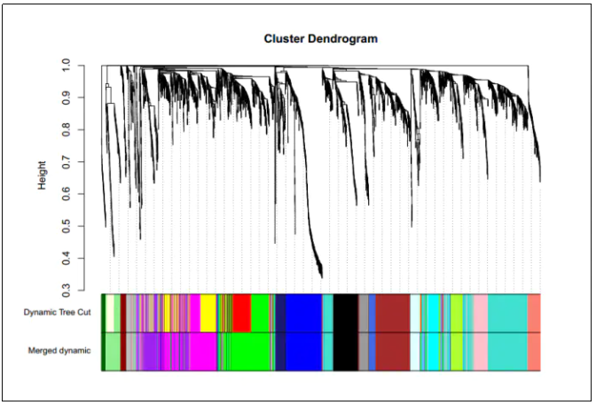 WGCNA 分析_wgcna分析-CSDN博客