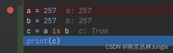 Python——变量开辟内存相关问题 Python开辟内存空间 Csdn博客