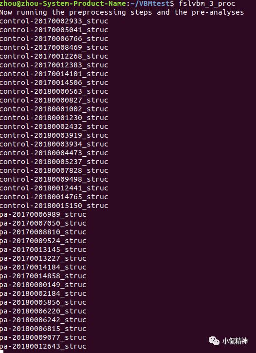 vbm 分析_手把手系列教程：使用FSL进行VBM分析_尹昉的博客-CSDN博客