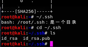 redis未授权访问漏洞复现_(error) err changing directory: permission denied-CSDN博客