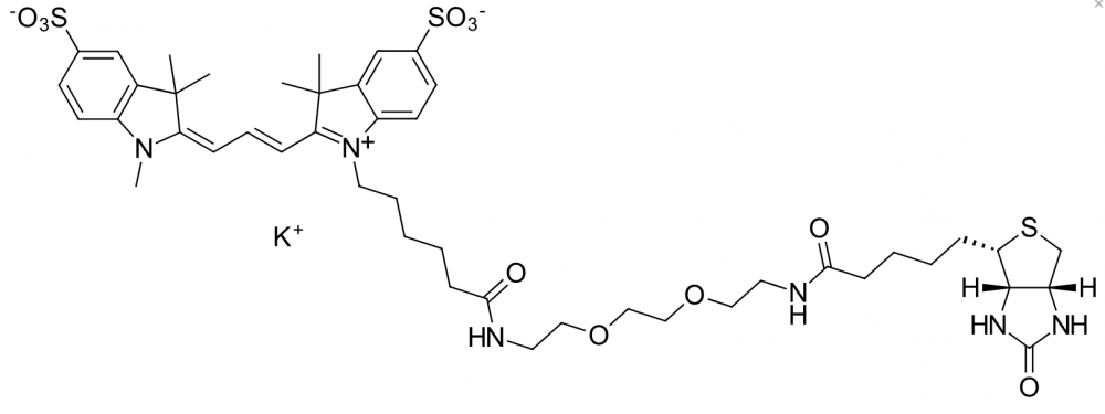 sulfo-Cyanine3-PEG3-biotin 可用于构建基于链霉亲和素的荧光测定法并可视化生物分子的结合-CSDN博客
