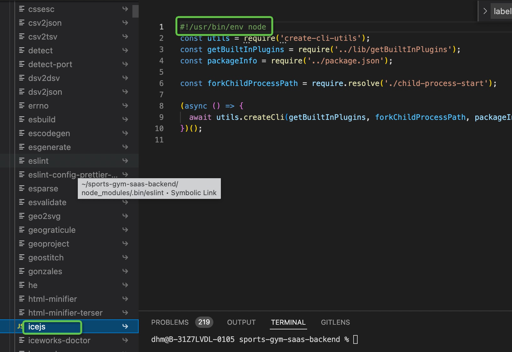 package.json文件解析_package.json 解析-CSDN博客