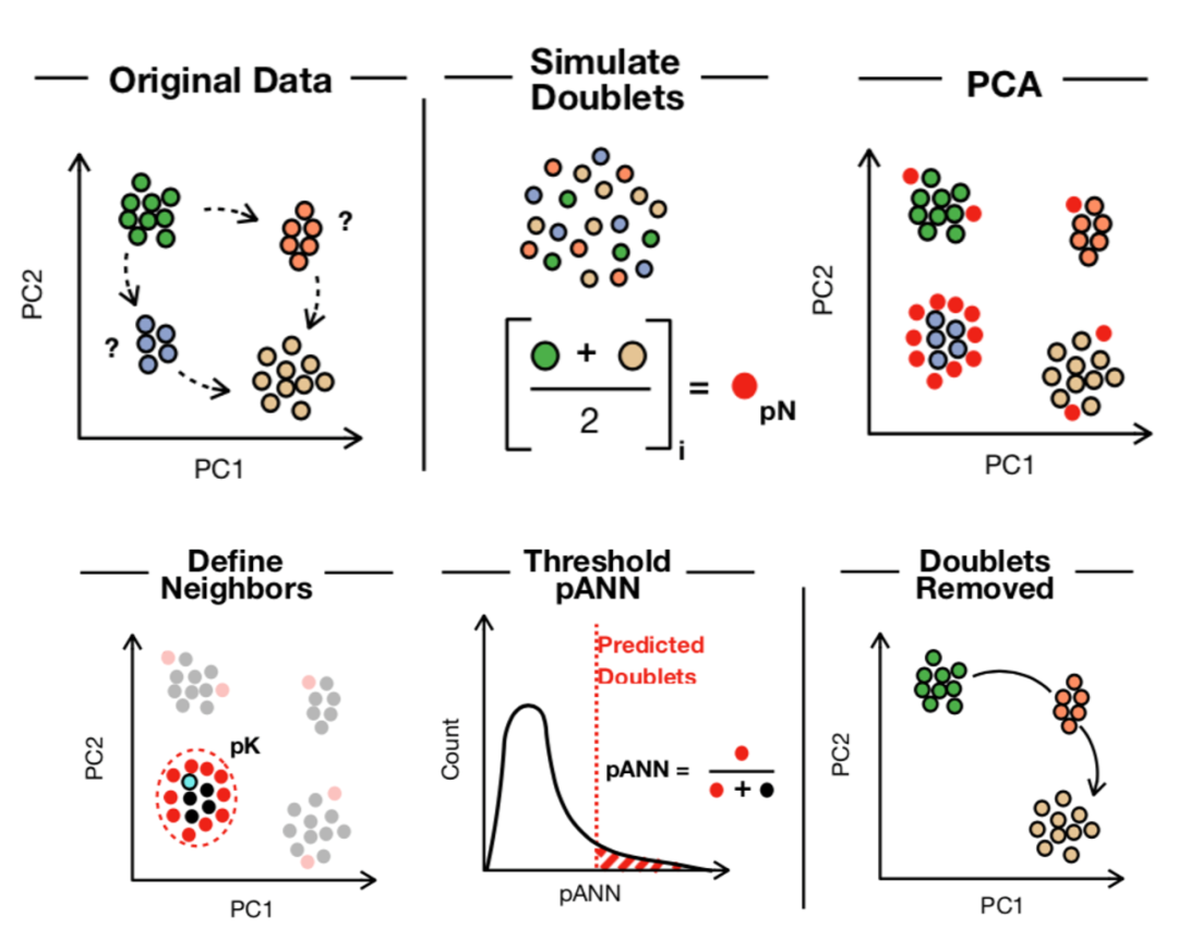 [scRNA-seq]doublets检测——DoubletFinder & scrublet （下）-CSDN博客