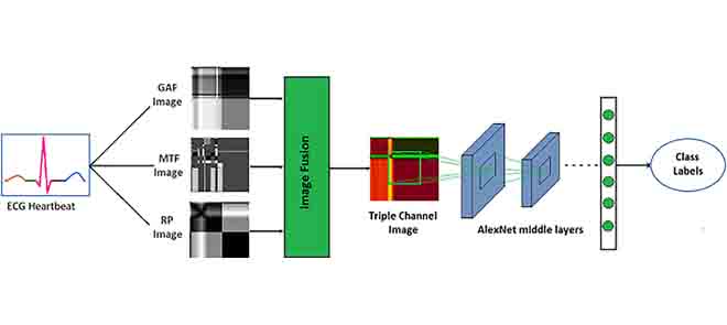 文献分享 基于多模态融合的ecg信号beat分类_enhancing dynamic ecg heartbeat classification ...