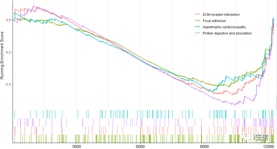 r语言进行go富集分析_生信实操|如何利用R语言进行GSEA分析_勃恩泽的博客-CSDN博客