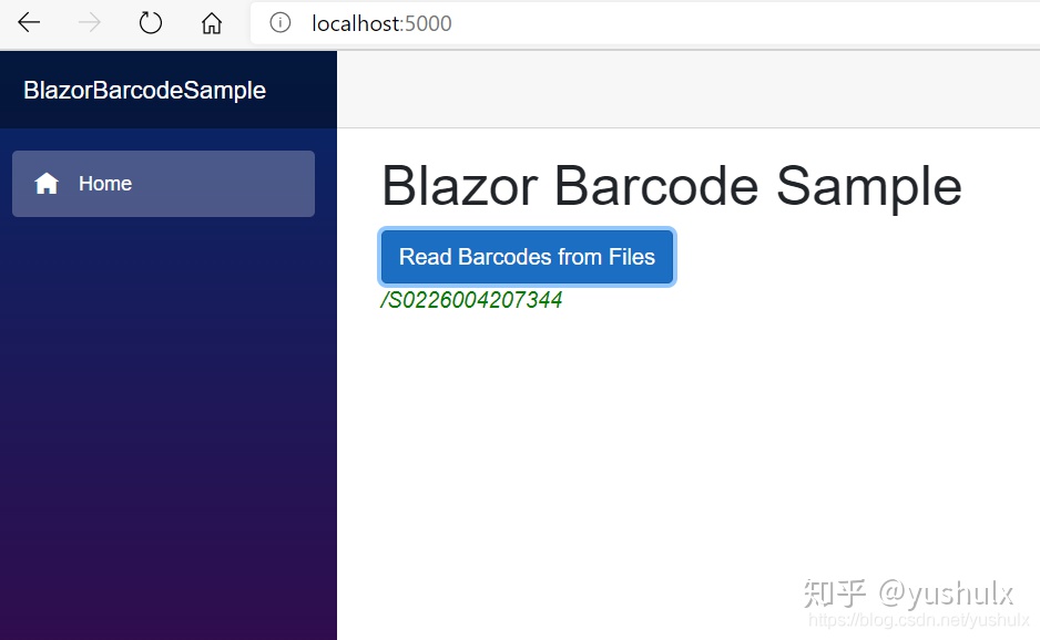 web前端调用dll_Blazor条形码识别应用：在Web中运行C#和JavaScript代码-CSDN博客