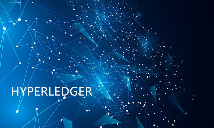 Hyperledger Fabric 核心概念_hyperledgerfabric为上层应用提供的区块链服务-CSDN博客
