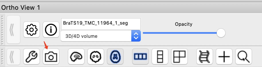 fsleyes -- 一款多功能影像数据查看器_fsleyes updating the texture data-CSDN博客