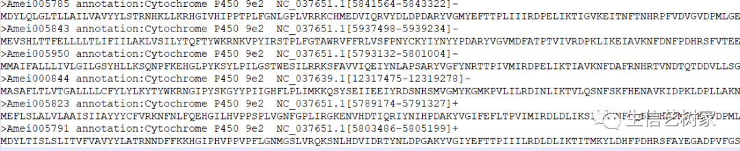 TBtools | 基因家族分析 (进化树、Motifs、结构域)-CSDN博客
