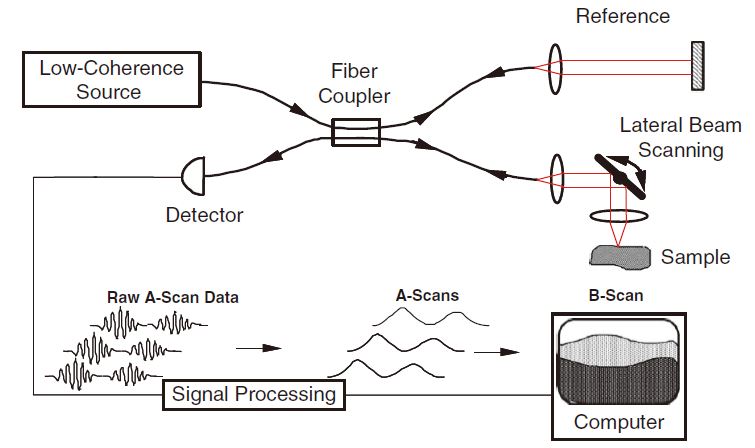 高斯勒让德求积公式matlab_光学相干层析成像OCT的介绍与模拟（附Python和Matlab代码）...-CSDN博客