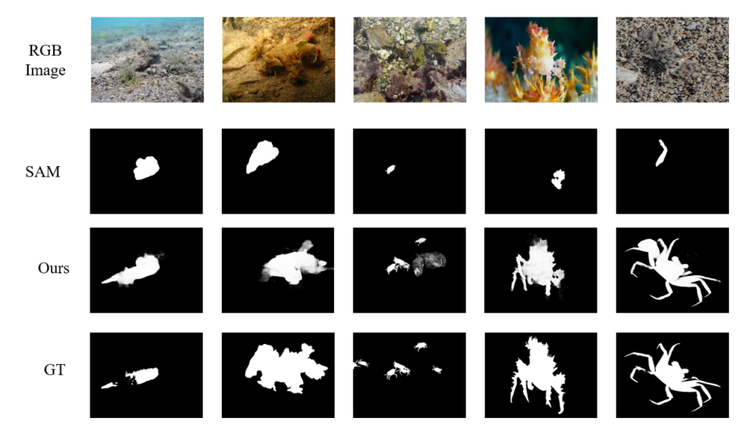 SAM无法分割一切？SAM-Adapter：首次让SAM在下游任务适应调优！-CSDN博客